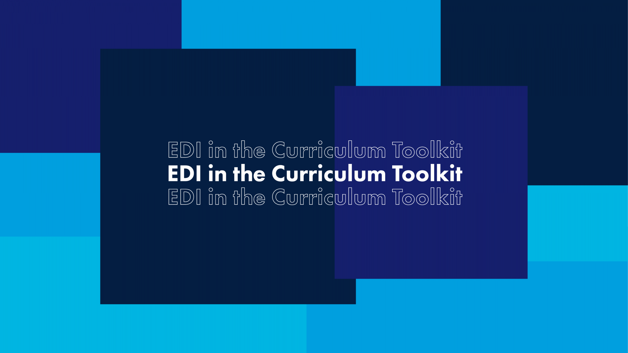 Equality, Diversity, and Inclusion (EDI) in the Curriculum Toolkit