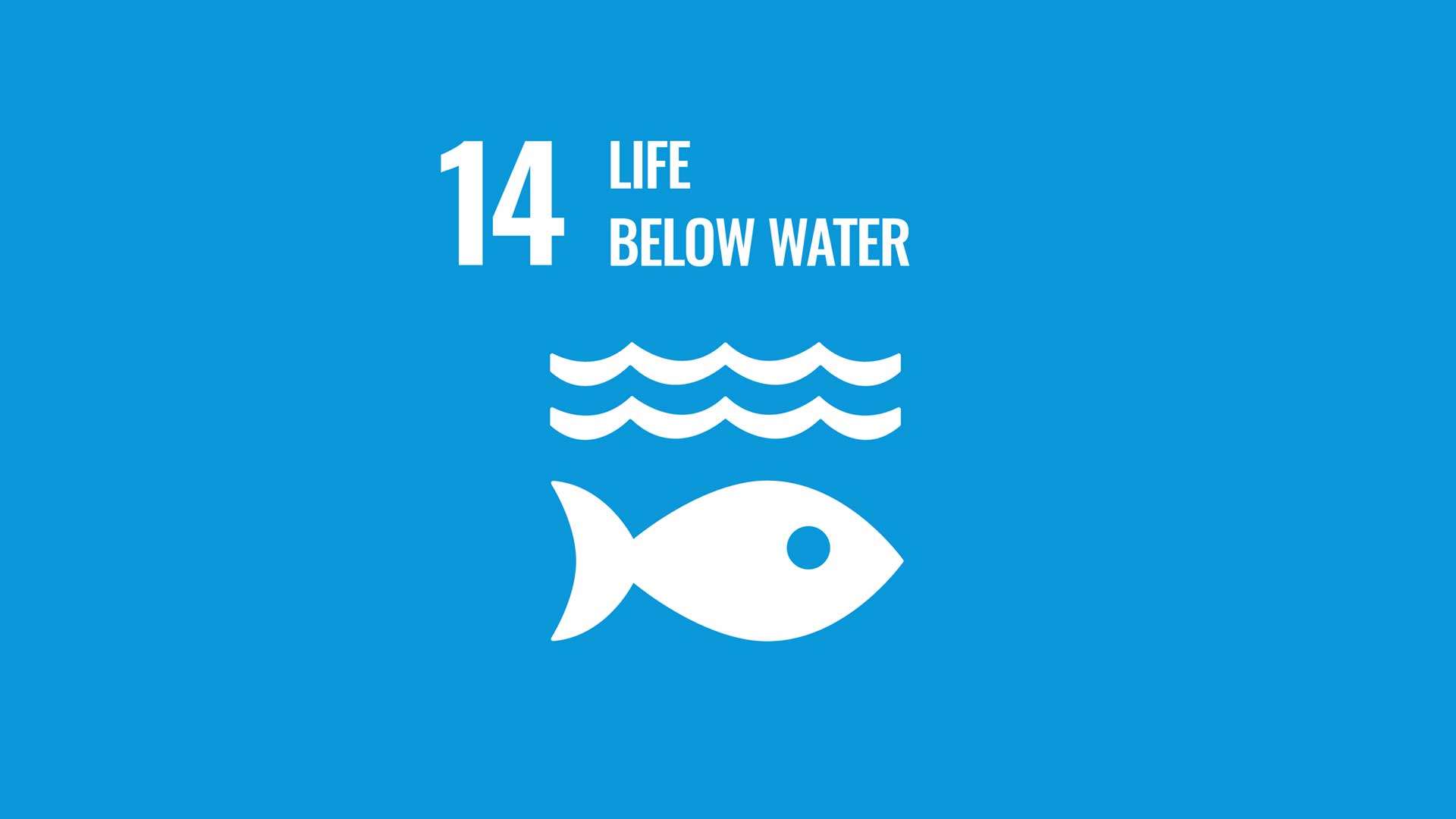 Life below Water – Conserve & sustainably use oceans, seas & marine ...