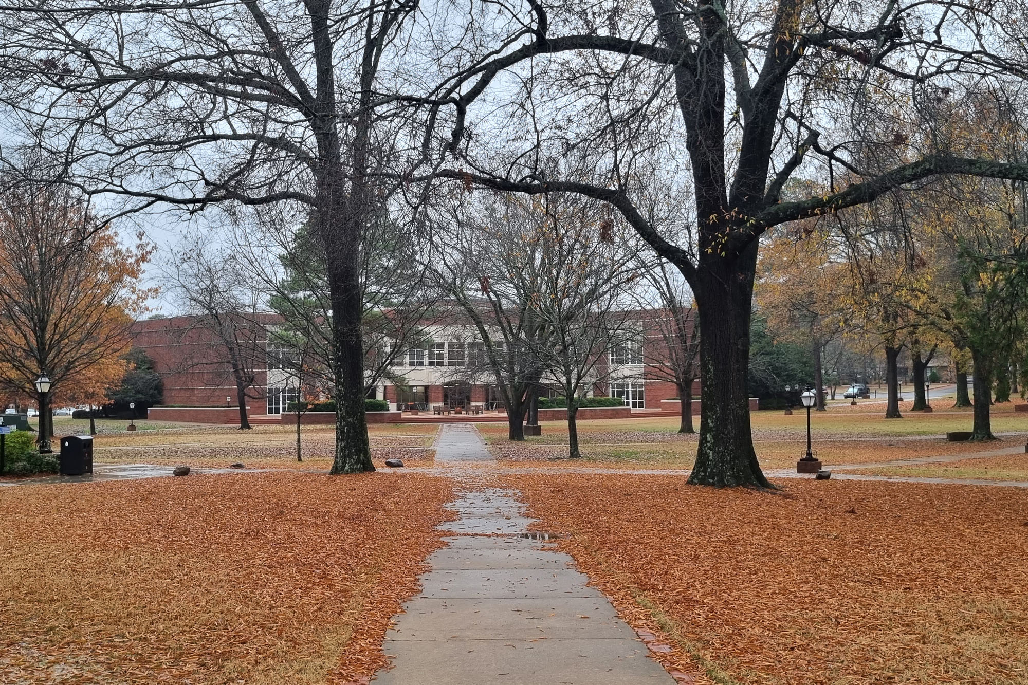Daniel Cockroft – Hendrix College, USA Go Global Stories