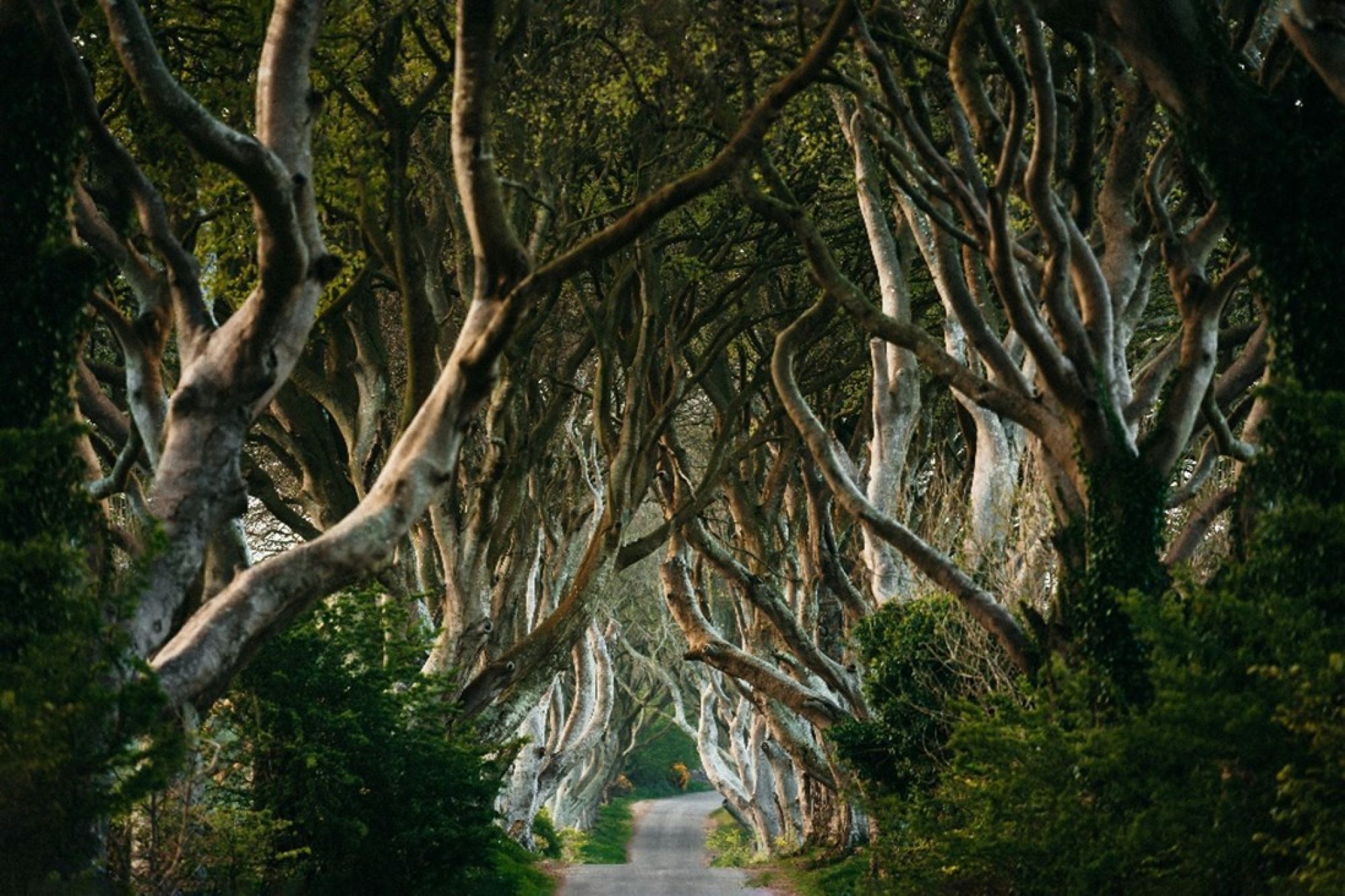 Top Places to Visit on the North Coast | We Got This - Ulster University