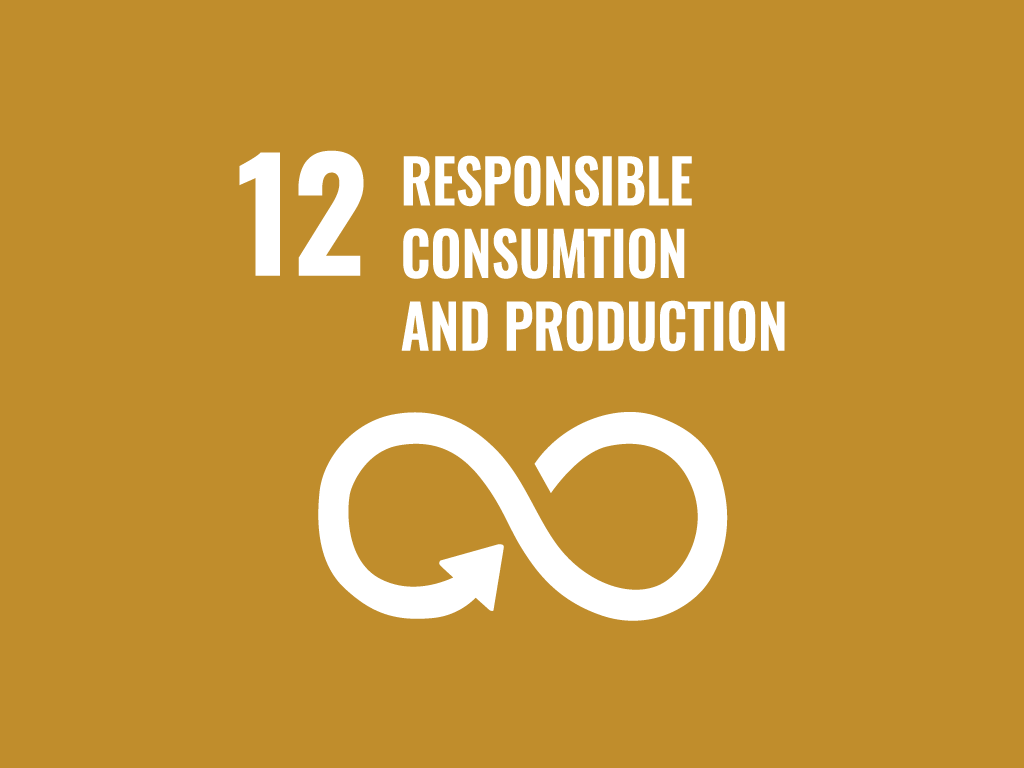 Responsible Consumption and Production
