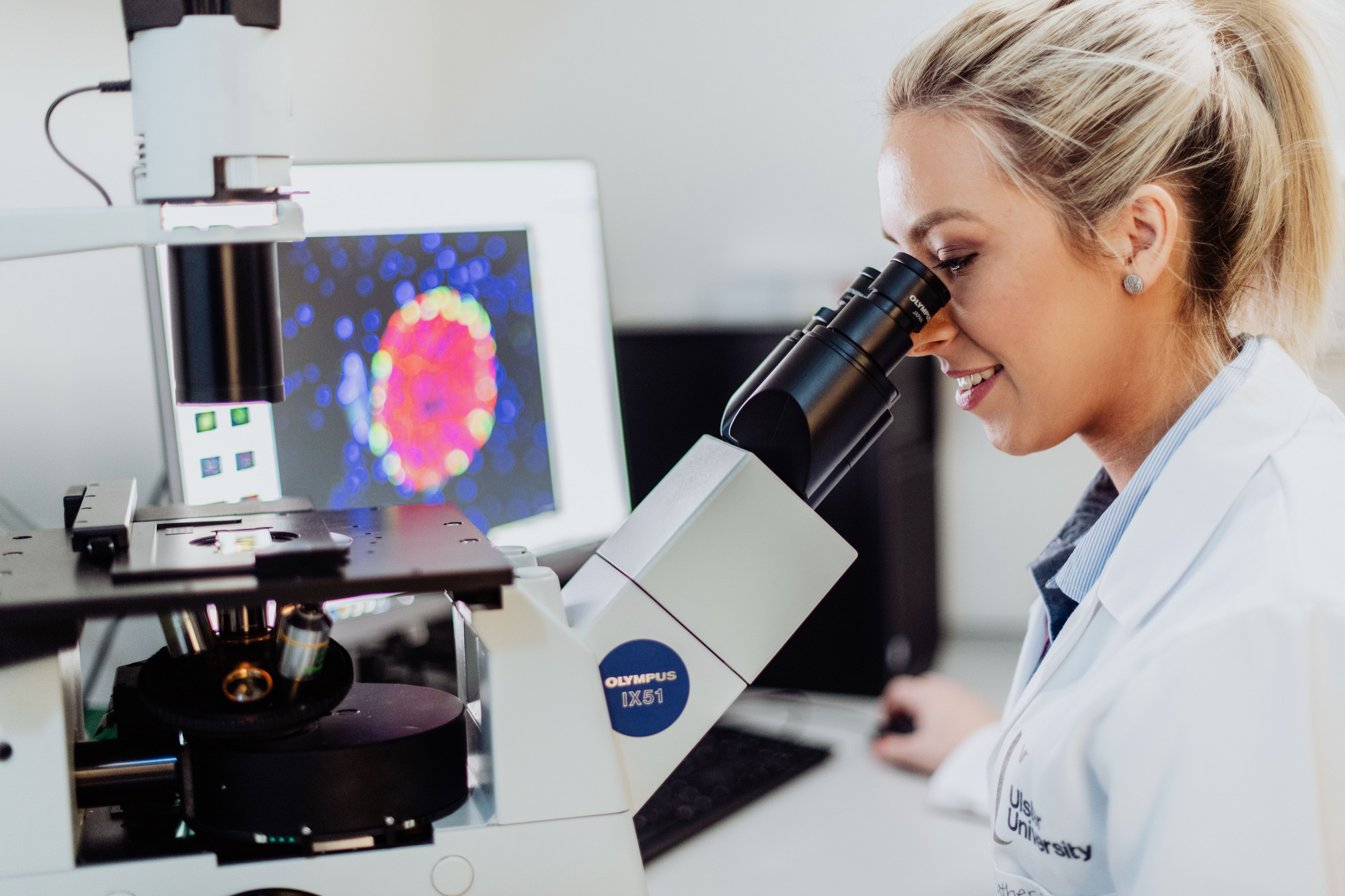 Welcome to the Research Staff Hub